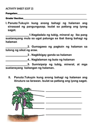 Demonstration teaching - bahagi ng halamanhalaman.docx