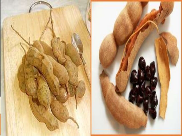 COT PPT.pptxKGNKHNMGFKNDKNSHRKBNBKMKbNHZn | PPT