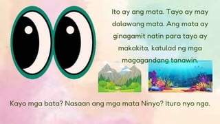 COT Q1 Week 8.pptx- kindergarten-Classroom Observation | PPTX
