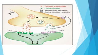 Cotransmission | PPTX