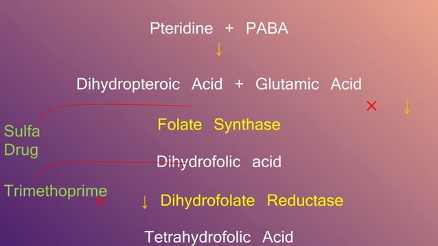 Cotrimoxazole | PPTX | Chemistry | Science