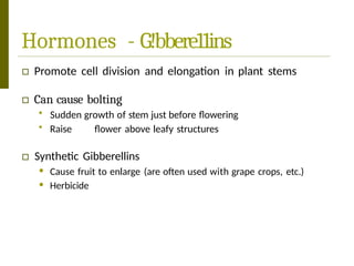 COT Science 4 Q4 Factors Affecting Plant Growth Presentation.pptx