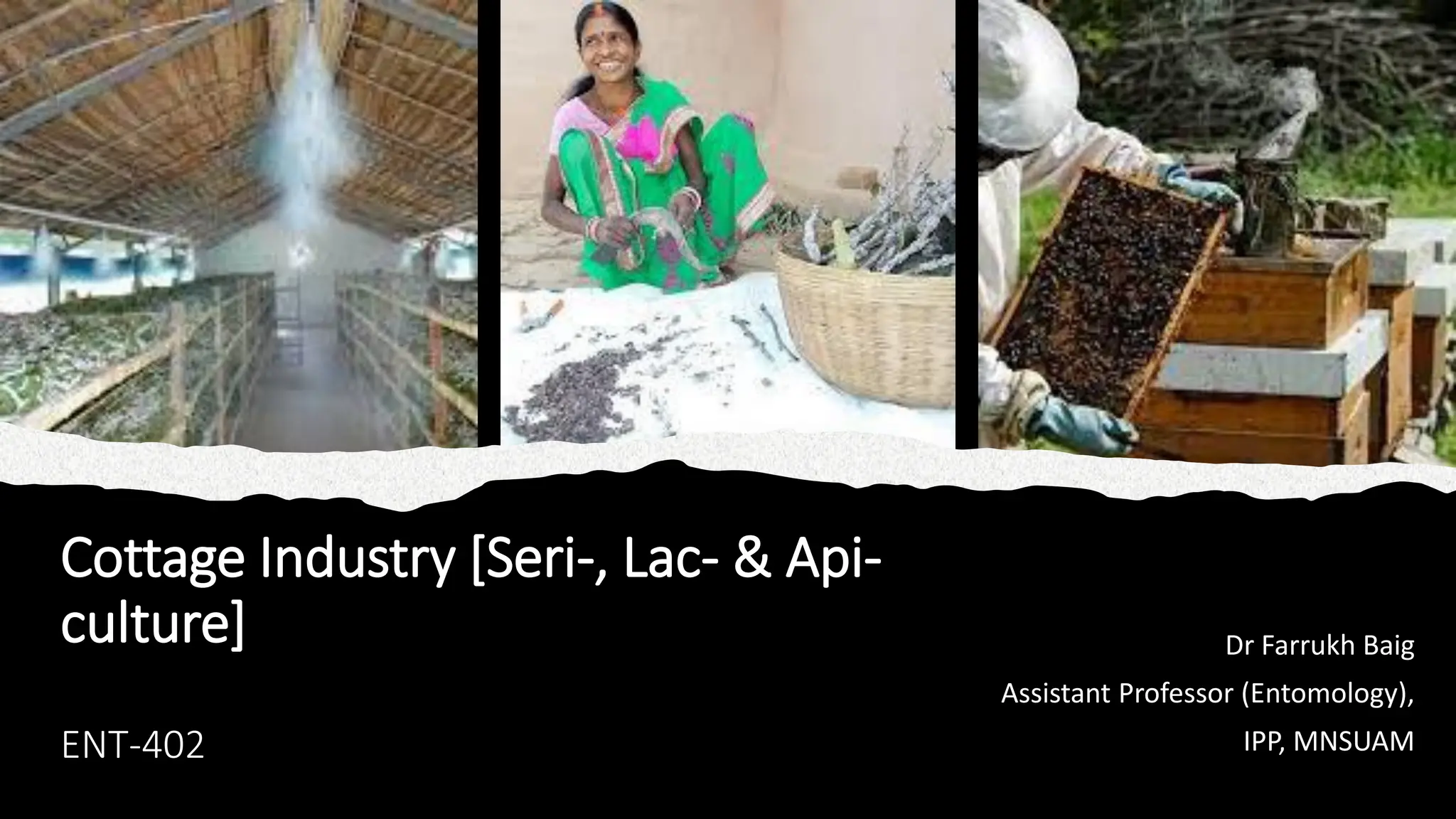Cottage Industry.pdf apiculture and sericulture | PDF