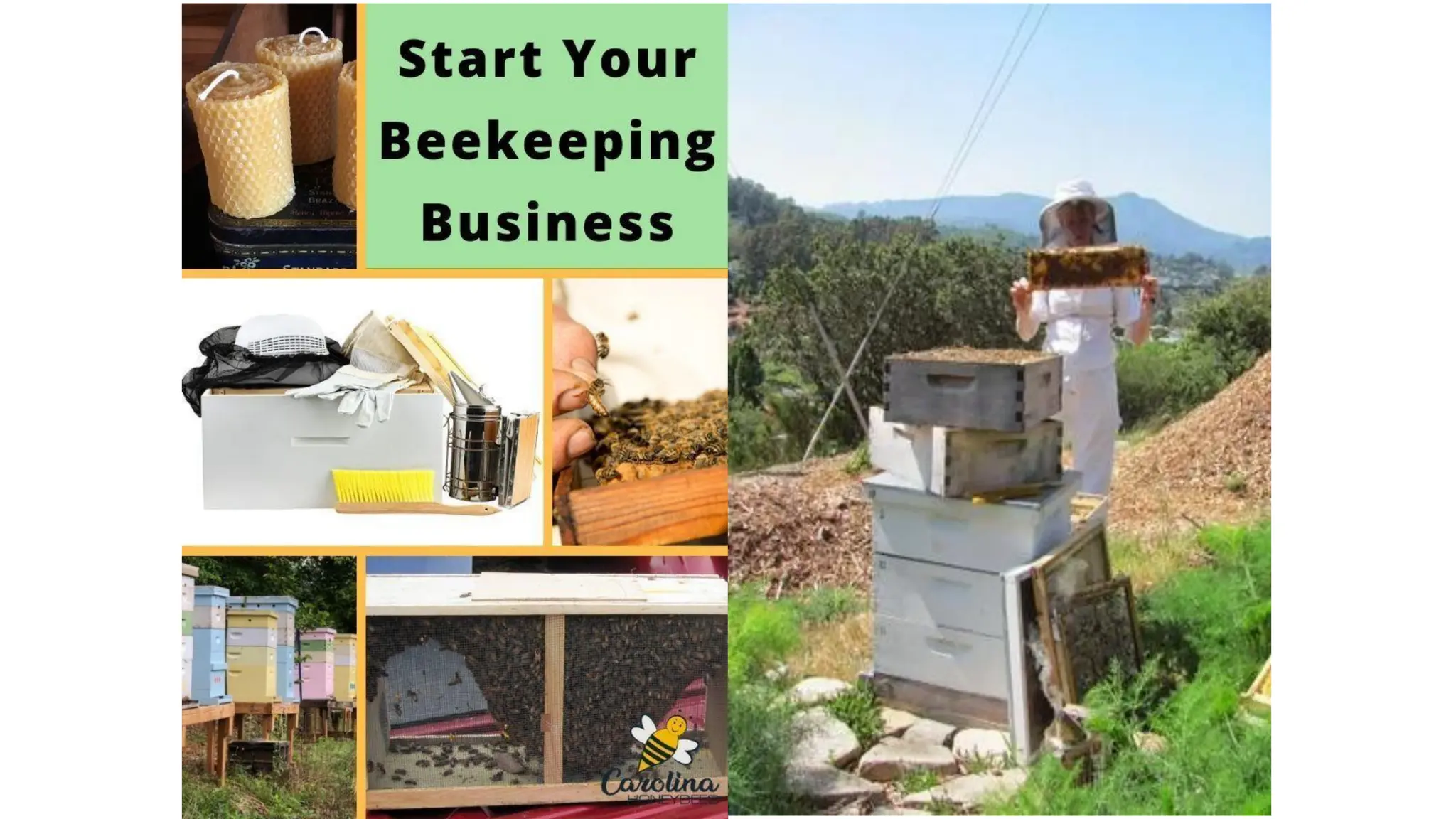 Cottage Industry.pdf apiculture and sericulture | PDF