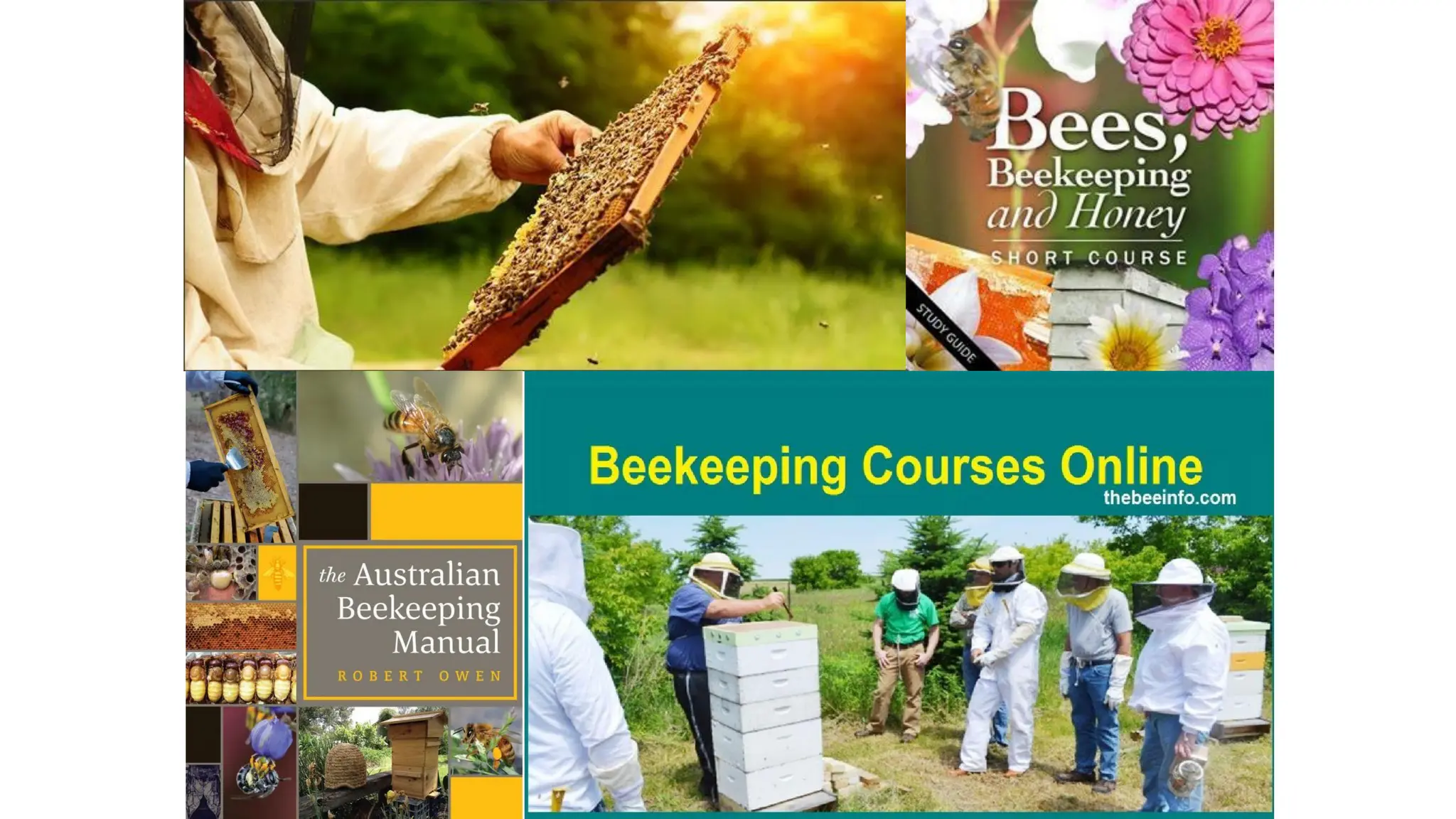 Cottage Industry.pdf apiculture and sericulture | PDF
