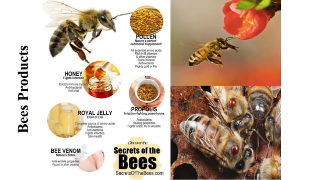 Cottage Industry.pdf apiculture and sericulture | PDF | Agriculture | Industries