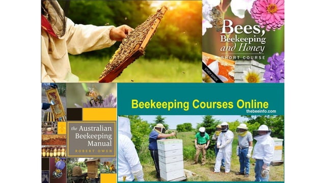 Cottage Industry.pdf apiculture and sericulture | PDF | Agriculture | Industries
