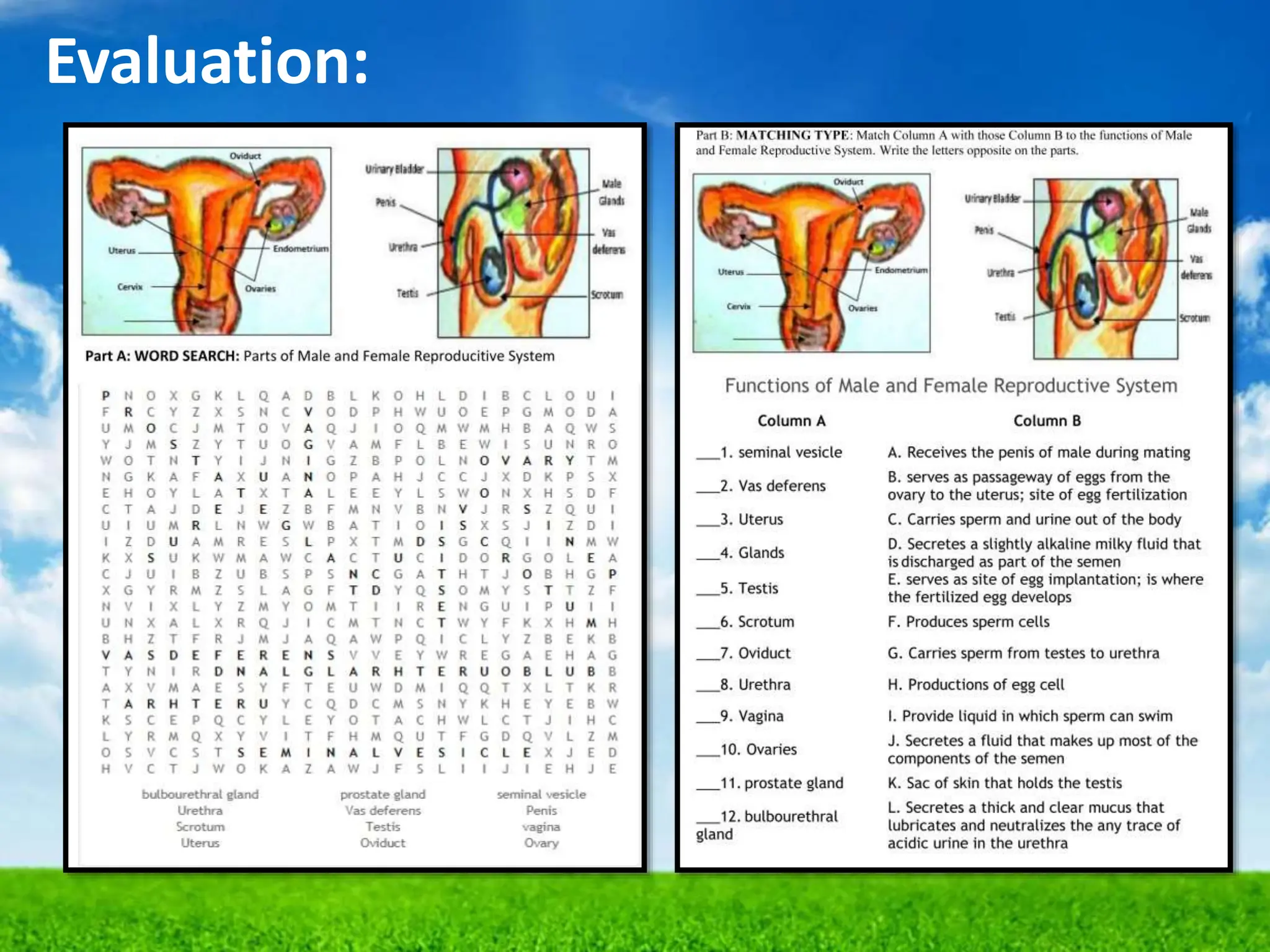 COT Third Quarter Powerpoint Presentation18-19.pptx