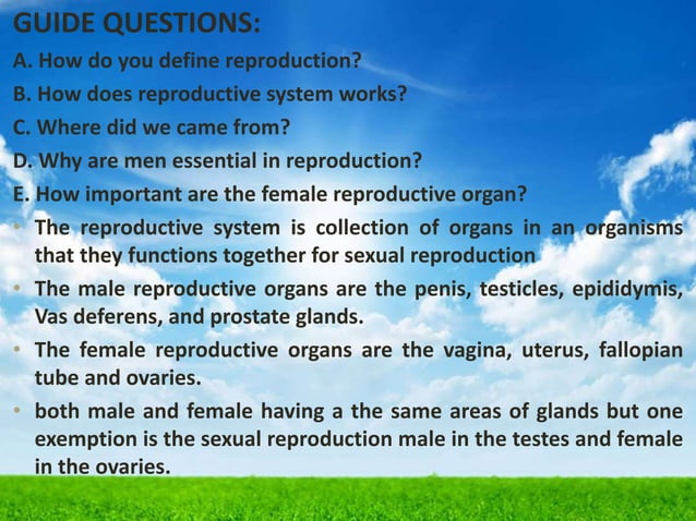 COT Third Quarter Powerpoint Presentation18-19.pptx