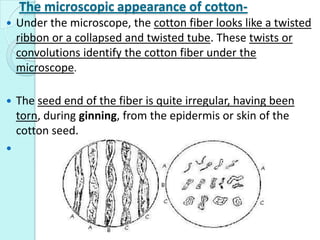 cotton-131007081403-phpapp01.pdf