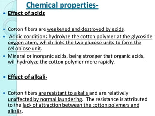 Cotton fiber manufacturing, physical and chemical properties | PPTX