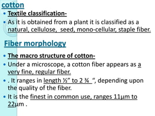 Cotton fiber manufacturing, physical and chemical properties | PPTX