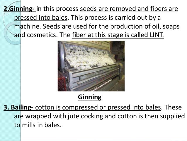 Cotton fiber manufacturing, physical and chemical properties Cotton fiber manufacturing, physical and chemical properties