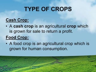 Cotton Crop Report w.r.t Pakistan (Agriculture Economics) | PPTX