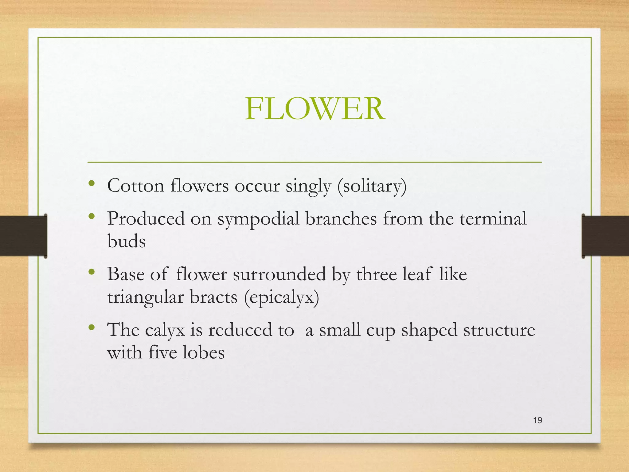 Cotton | PDF