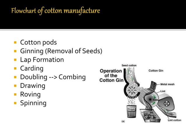 Cotton Presentation | PPTX | Needlework | Arts and Crafts