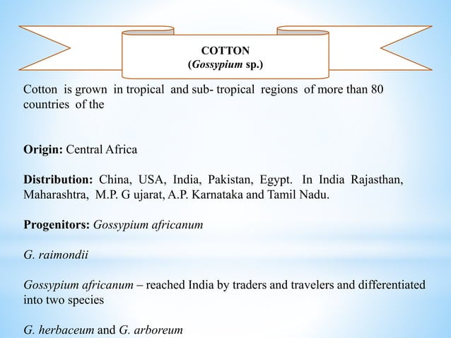 Cotton | PPTX