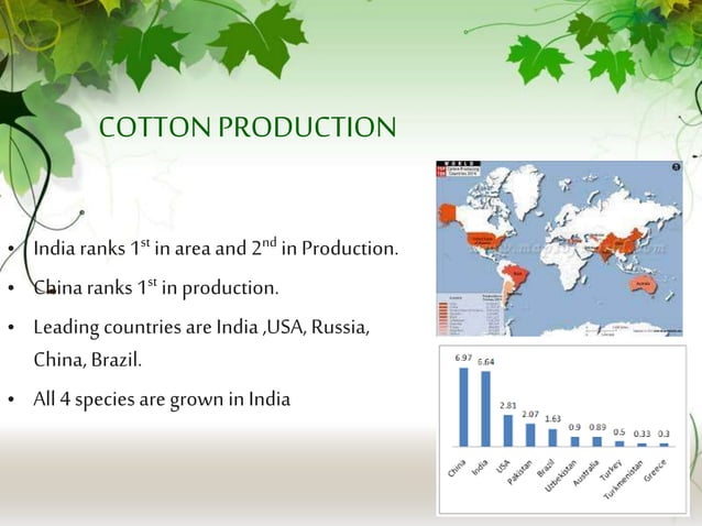 All Details About Cotton | PPTX | Agriculture | Industries