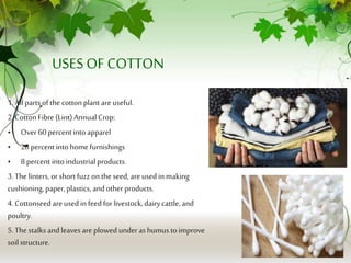 All Details About Cotton | PPTX | Agriculture | Industries