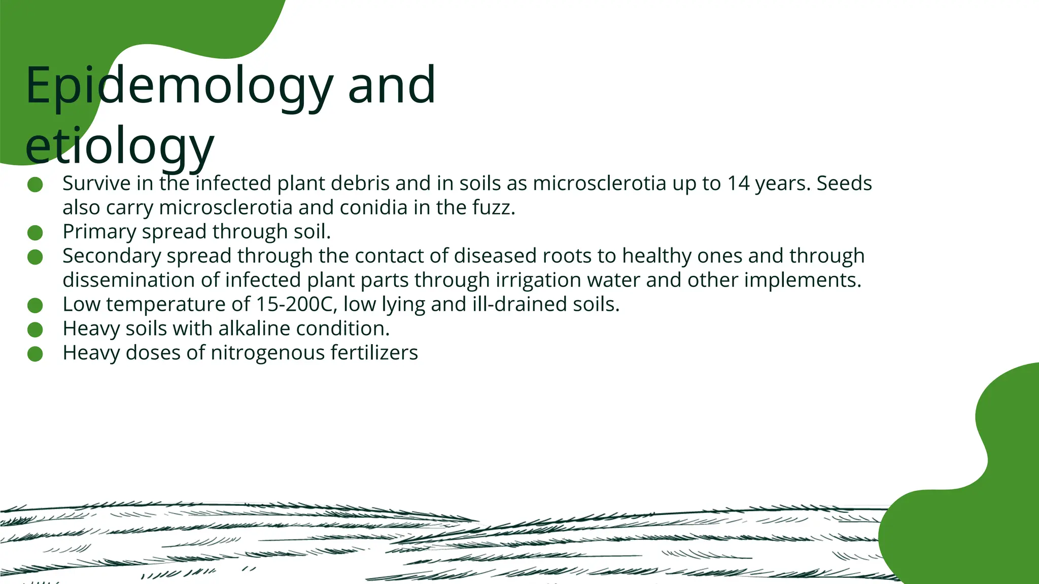 Diseases of Cotton in India(Major disesaes).pptx