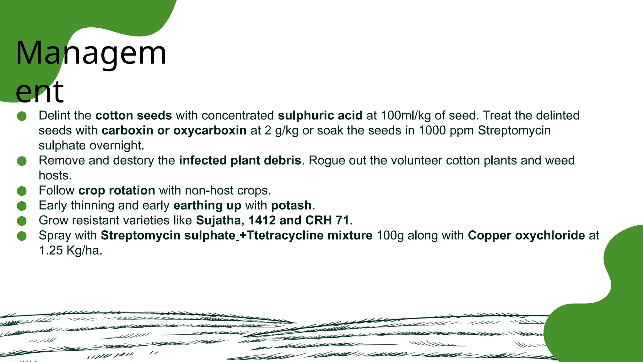 Diseases of Cotton in India(Major disesaes).pptx