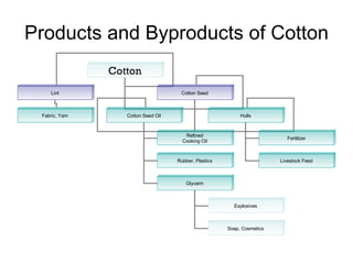 Cotton Mv | PPT