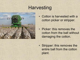 Industrial Cotton-Processing and Handling.ppt