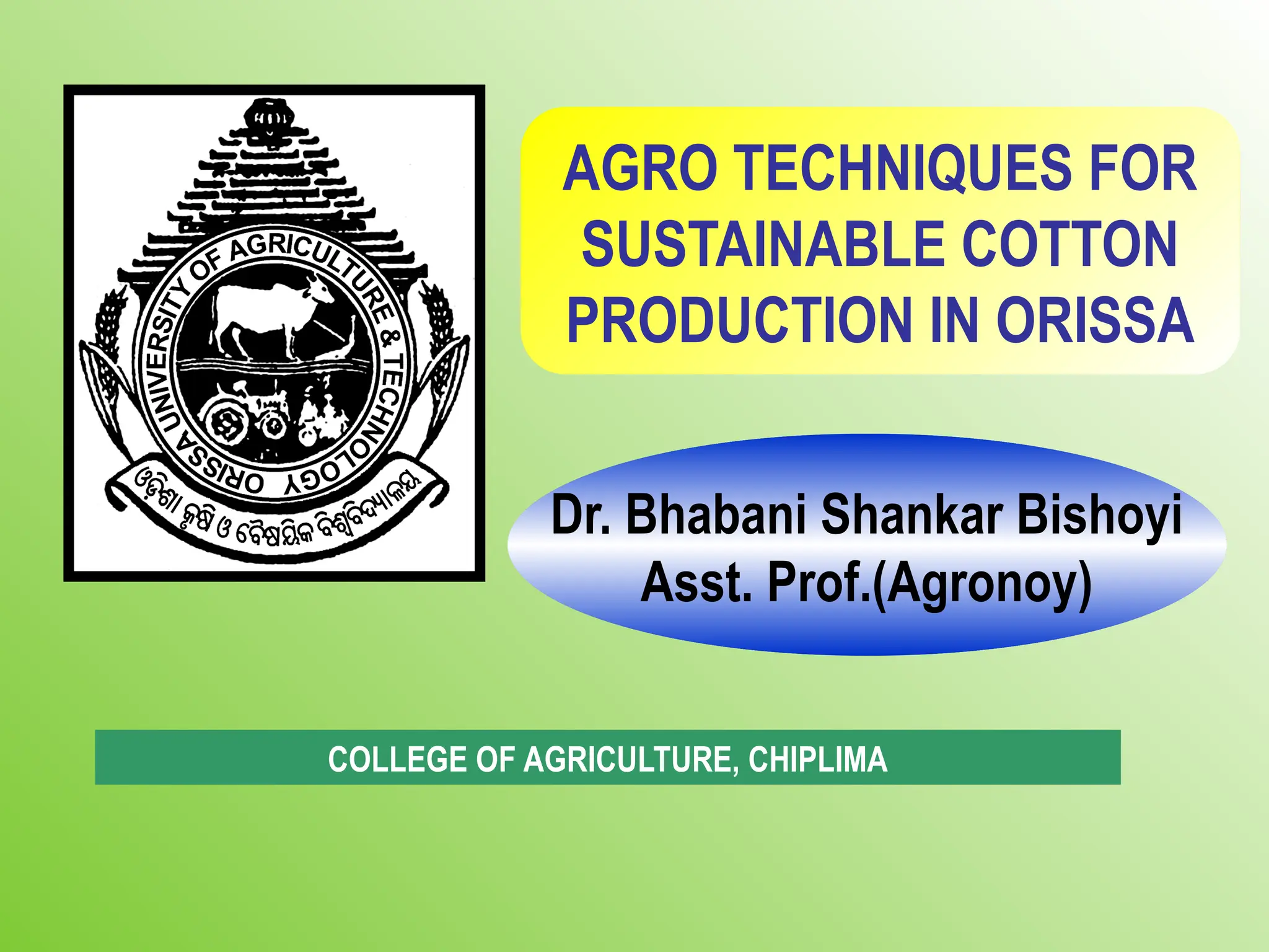 Cotton Agrotechniques.pptx ksksm. Al sms z kaamans | PPTX