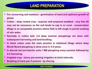 Cotton Agrotechniques.pptx ksksm. Al sms z kaamans | PPTX