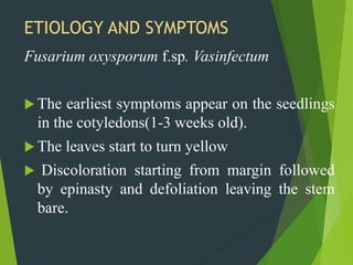 Cotton and guava wilt | PPTX