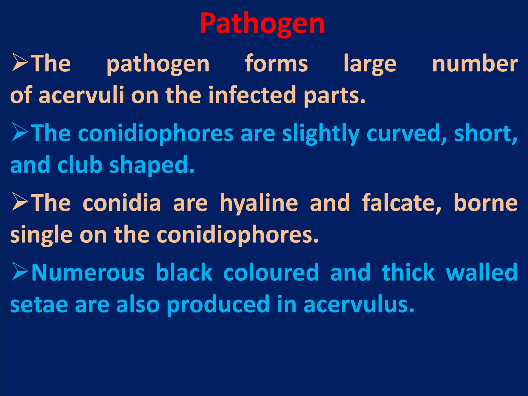 Vascular wilt, Anthracnose and Black arm or angular leaf spot disease ...