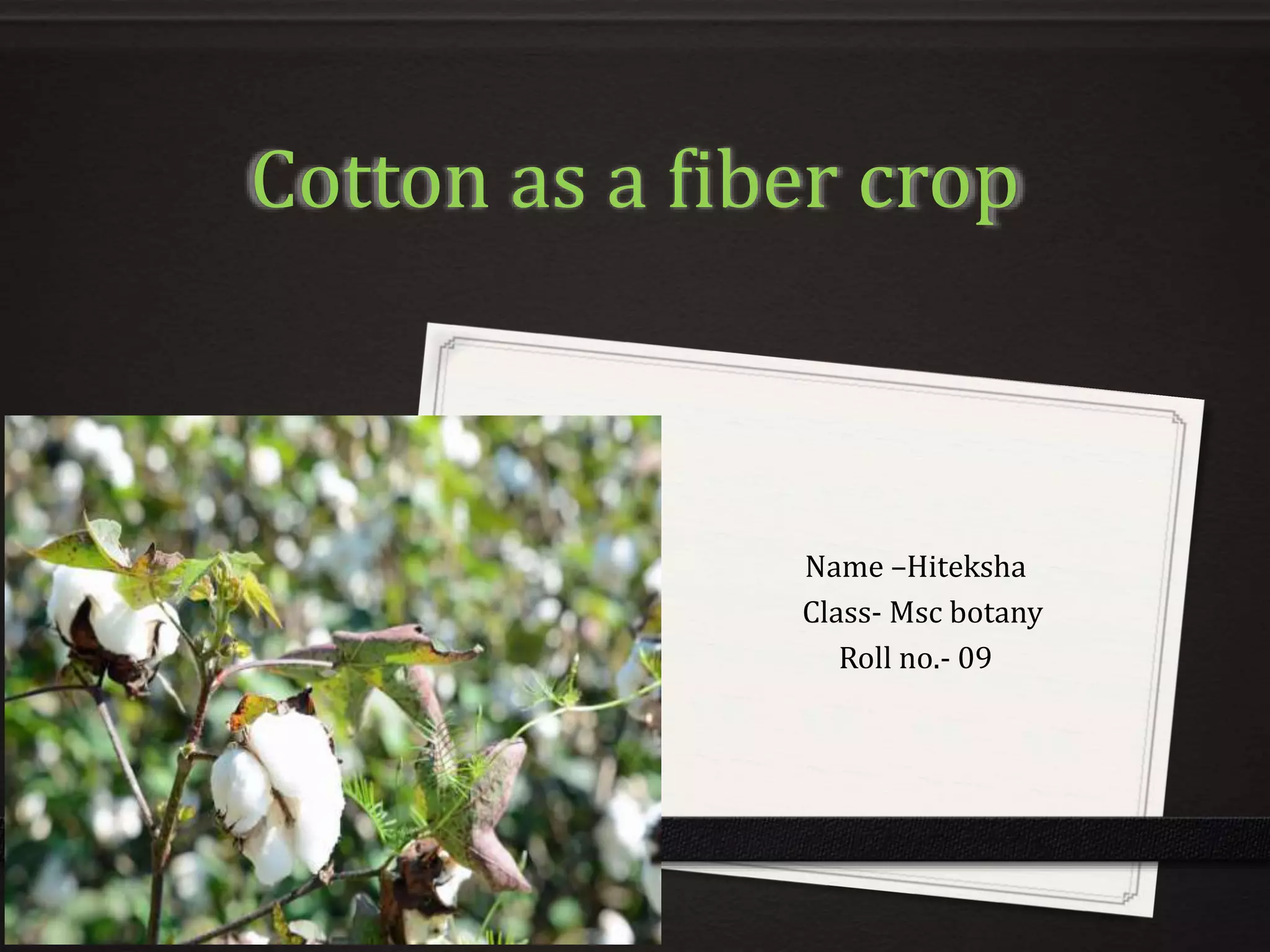Cotton as a fibre crop | PPTX