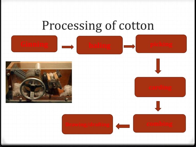 Cotton as a fibre crop | PPTX