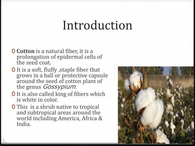 Cotton as a fibre crop | PPTX