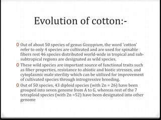 Cotton as a fibre crop | PPTX