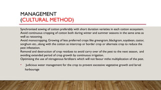 cotton_bollworm_ENt_Presentation by DIVYANSH KUMAR SINGH.pptx