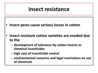 Cotton breeding | PPTX