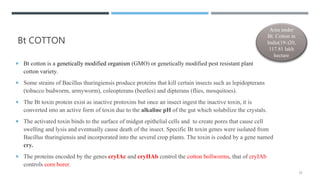 Cotton crop | PPTX