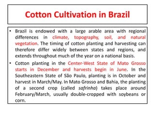 COTTON CULTIVATION IN BRAZIL.pptx