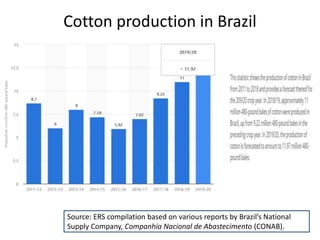 COTTON CULTIVATION IN BRAZIL.pptx