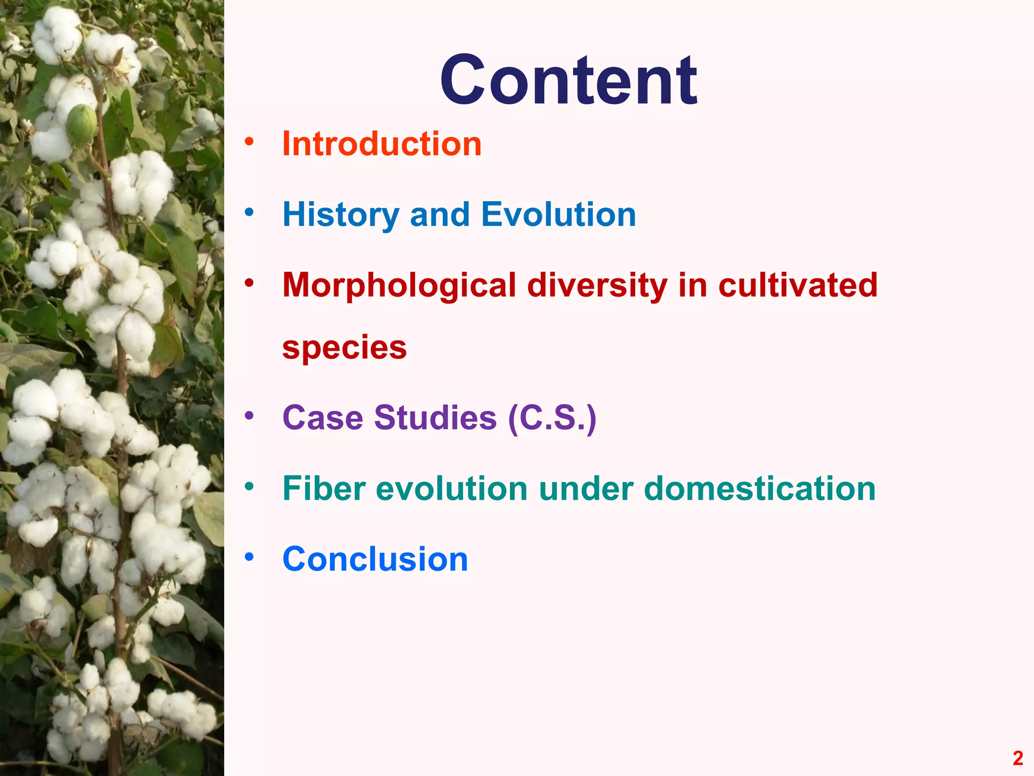 Cotton evolution at a glance | PPT