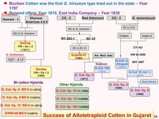 Cotton evolution at a glance | PPT