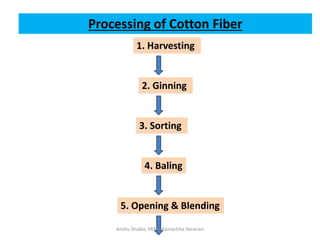 Cotton fiber | PPTX