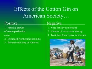 The Cotton Gin | PPT