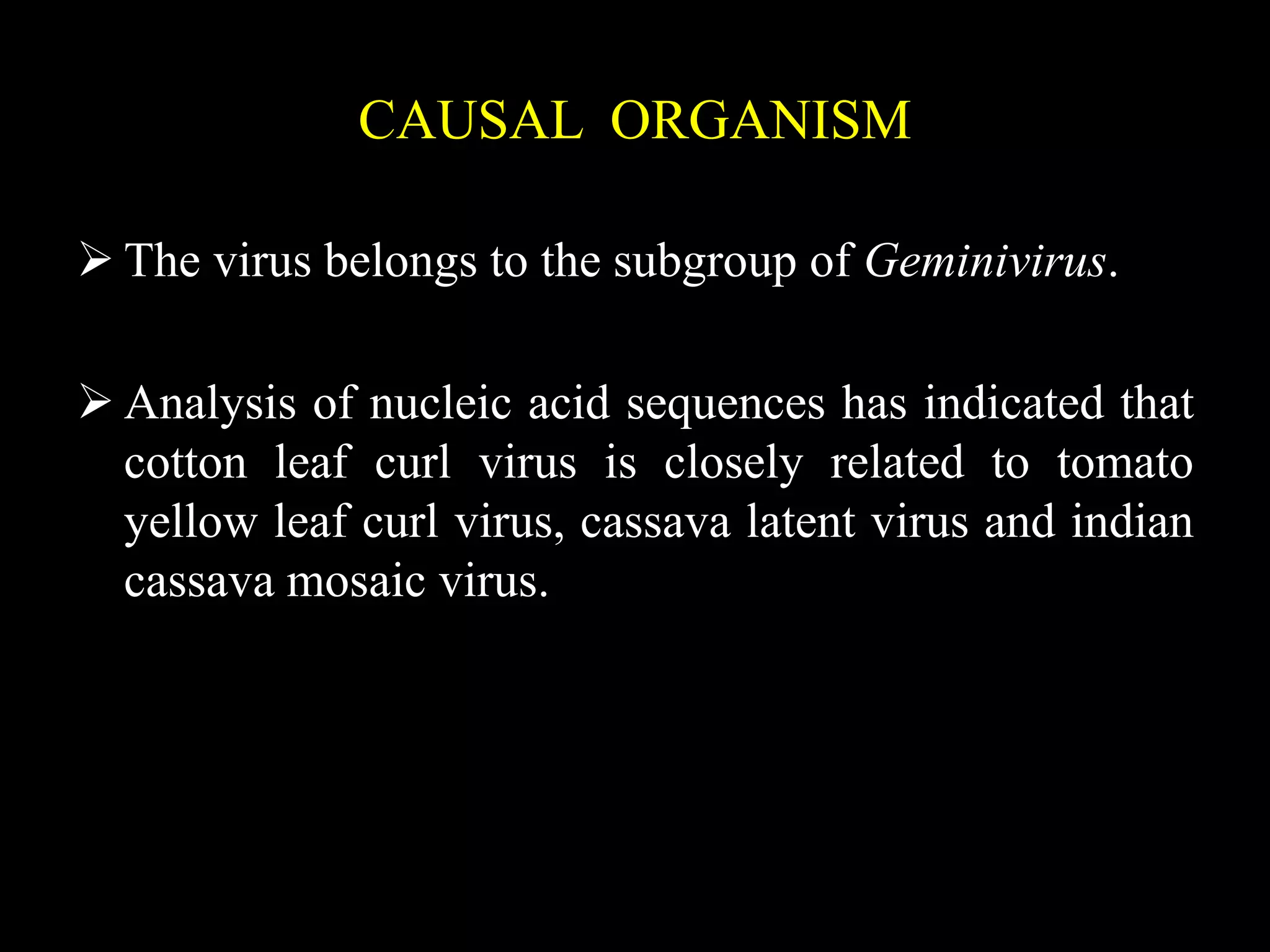 Cotton leaf curl virus | PPTX
