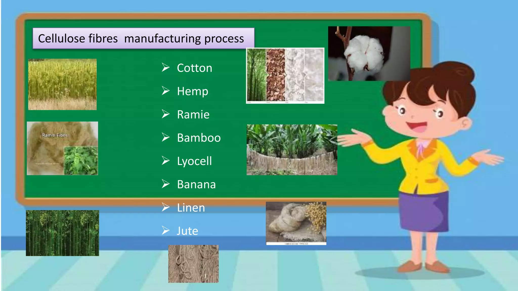 Cotton manufacturing process | PPTX