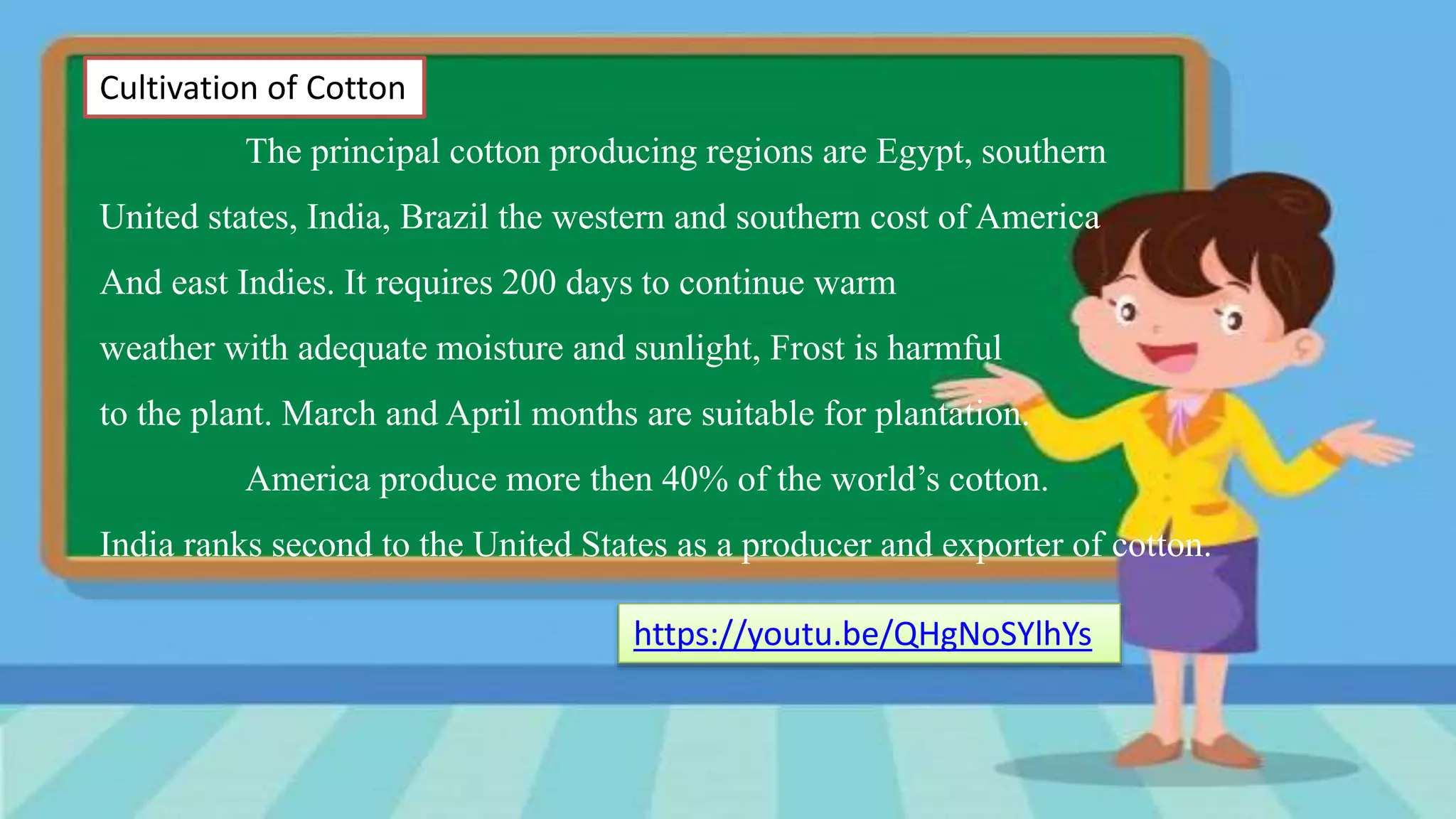 Cotton manufacturing process | PPTX