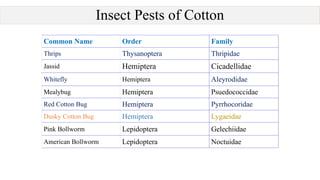 COTTON PESTS AND THEIR MANAof GoEMENT.pptx