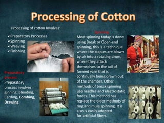 ccotton plant description, botany, utility | PDF