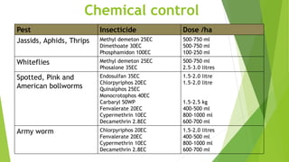 Insects pests of Cotton | PPTX
